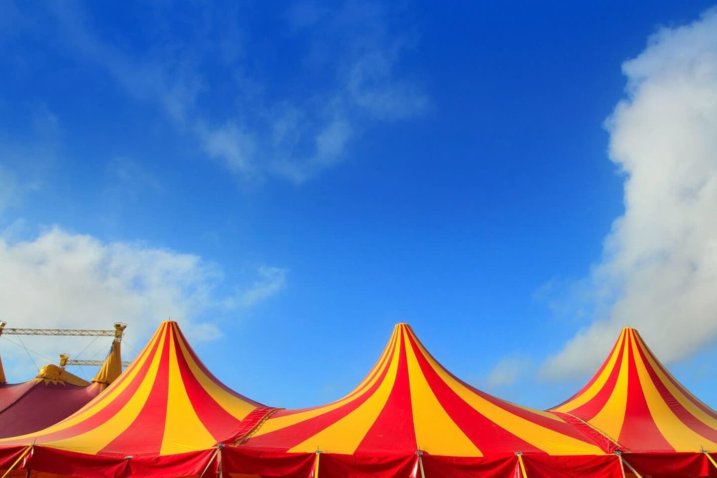 Ringling Bros and Barnum and Bailey Circus Out Of This World St Louis ...