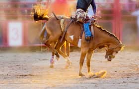 Painted Pony Championship Rodeo Tickets - StubHub