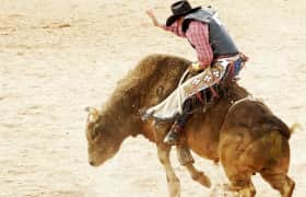 Cheyenne Frontier Nights Tickets - StubHub