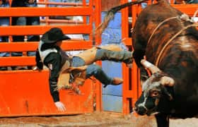 Professional Bull Riders (PBR) Tickets - StubHub