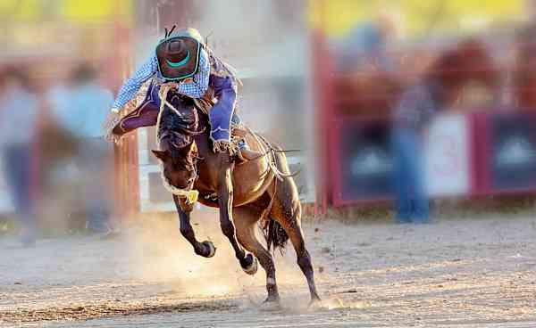 Oklahoma Invitational Black Rodeo Tickets - StubHub