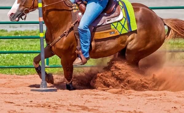 Ty Hallgarth Memorial Xtreme Bronc Riding Tickets - StubHub