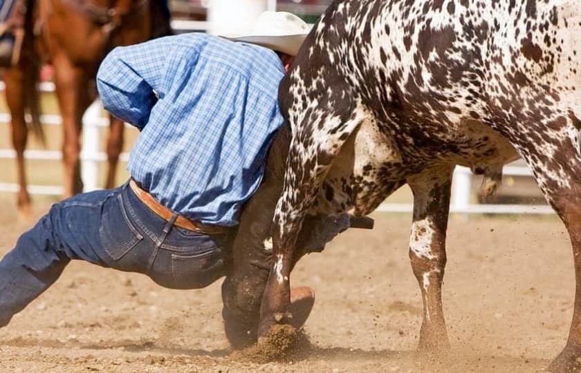 Painted Pony Championship Rodeo Tickets - StubHub