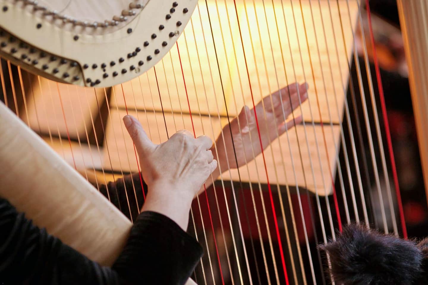 Hannah Morrison Tickets | Konzertkarten für Hannah Morrison Tour 2024 ...