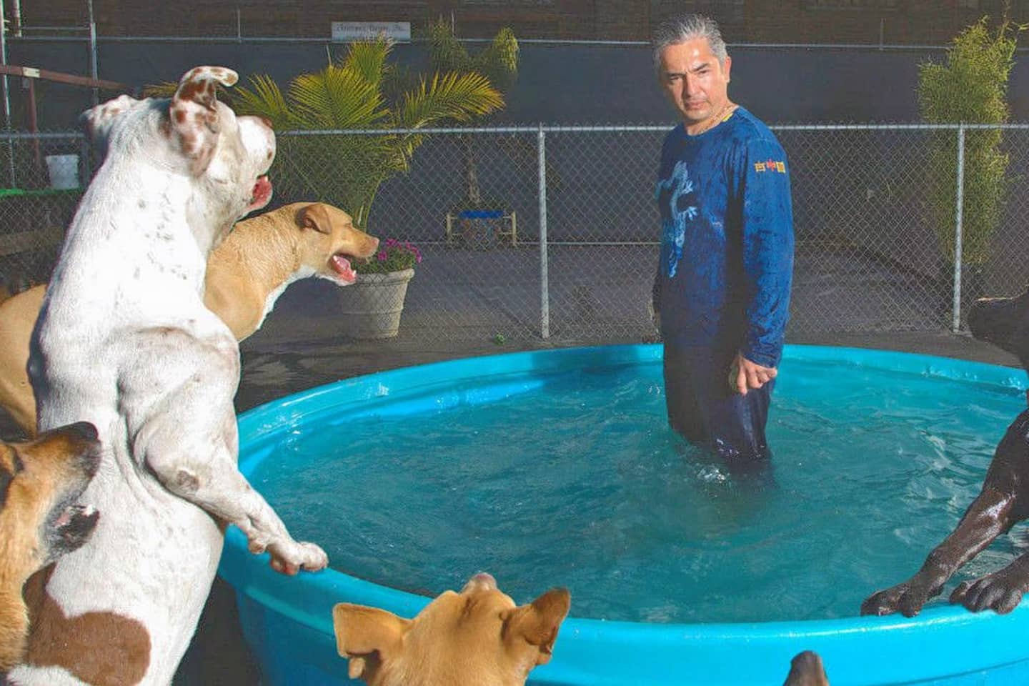 Cesar Millan - The Dog Whisperer Tickets | Cesar Millan Tickets