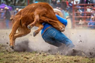 Sonny Acres Farm Pro Rodeo and Bull Riding Sonny Acres Farm West ...