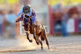 MSU Spring Rodeo Brick Breeden Fieldhouse - Complex Bozeman Tickets ...