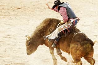Tickets für Professional Championship Bull Riders: Border Battle ...