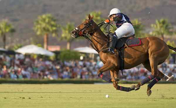 Sandpolo - British Beach Polo Championships Tickets | Buy or Sell ...