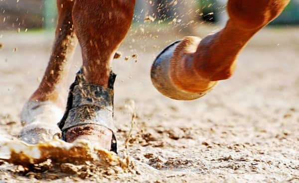 Extreme Bronc Riding Tickets | Buy or Sell Extreme Bronc Riding Tickets ...