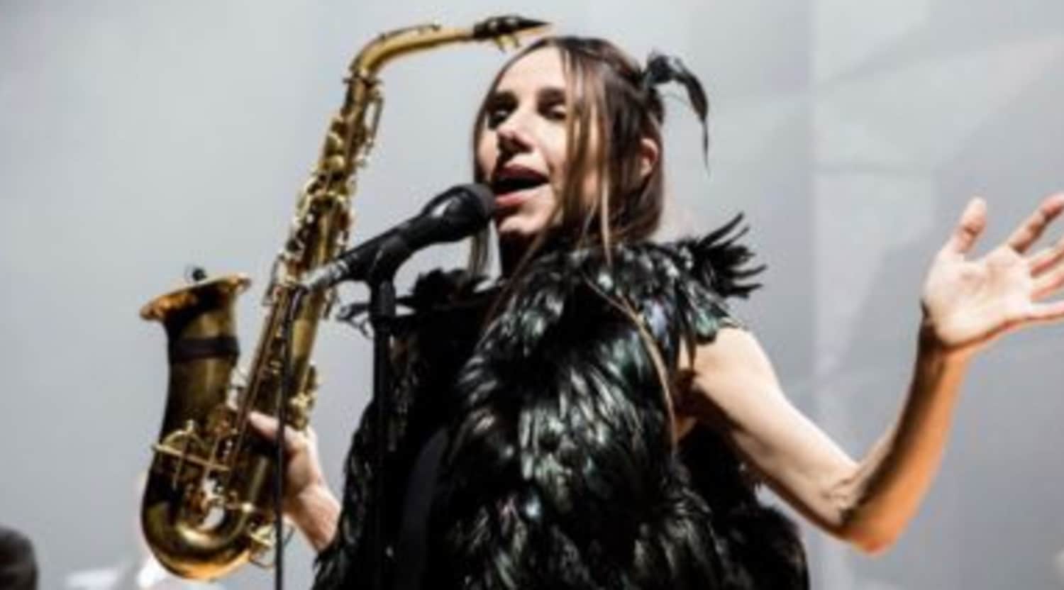 PJ Harvey Tickets - PJ Harvey Concert Tickets and Tour Dates - StubHub