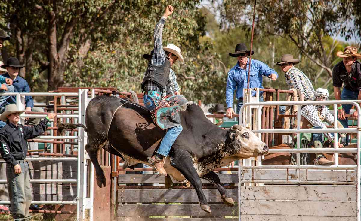 Dixie National Rodeo Tickets - StubHub