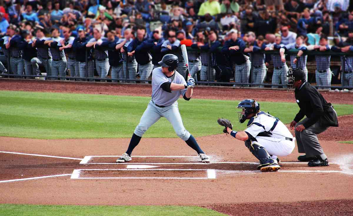 Old Dominion Monarchs Baseball Tickets in Norfolk | StubHub
