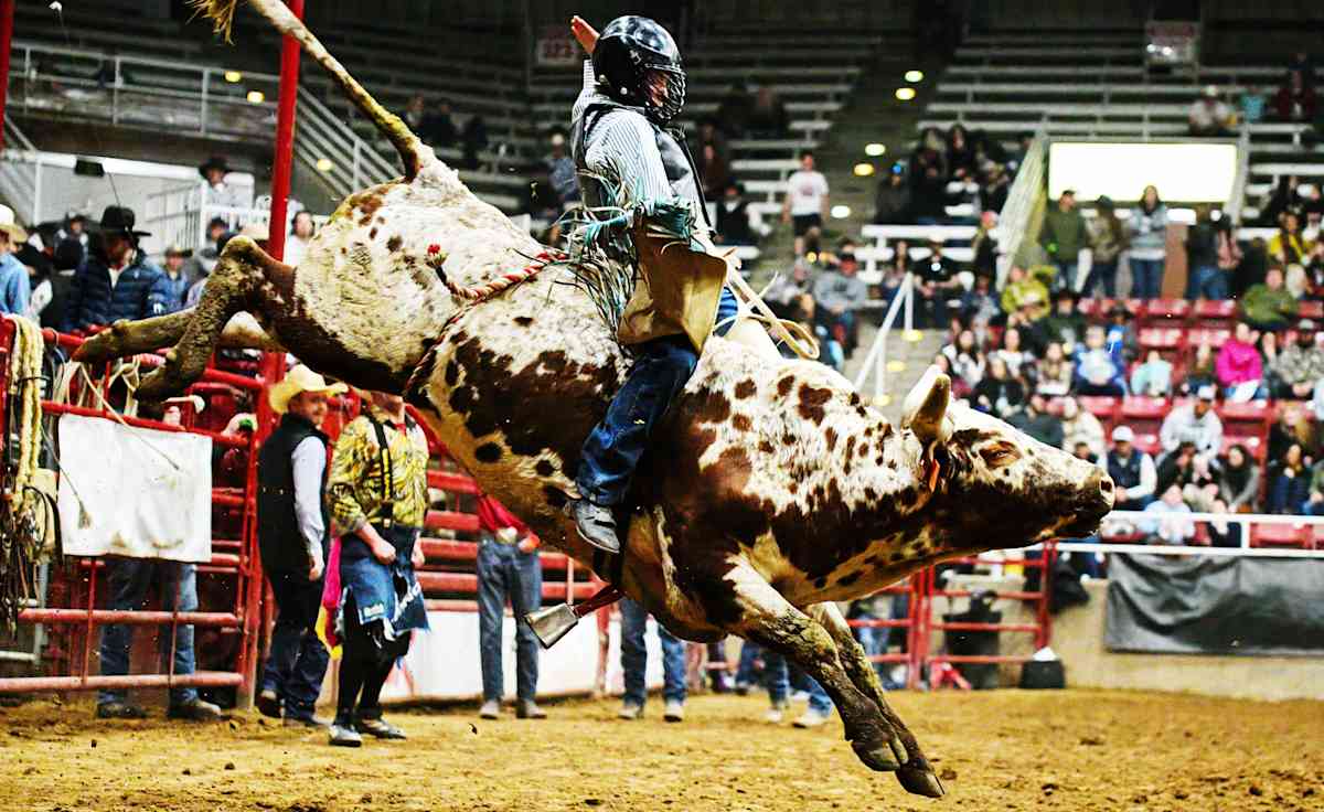 Golden Spike Rodeo Tickets - StubHub