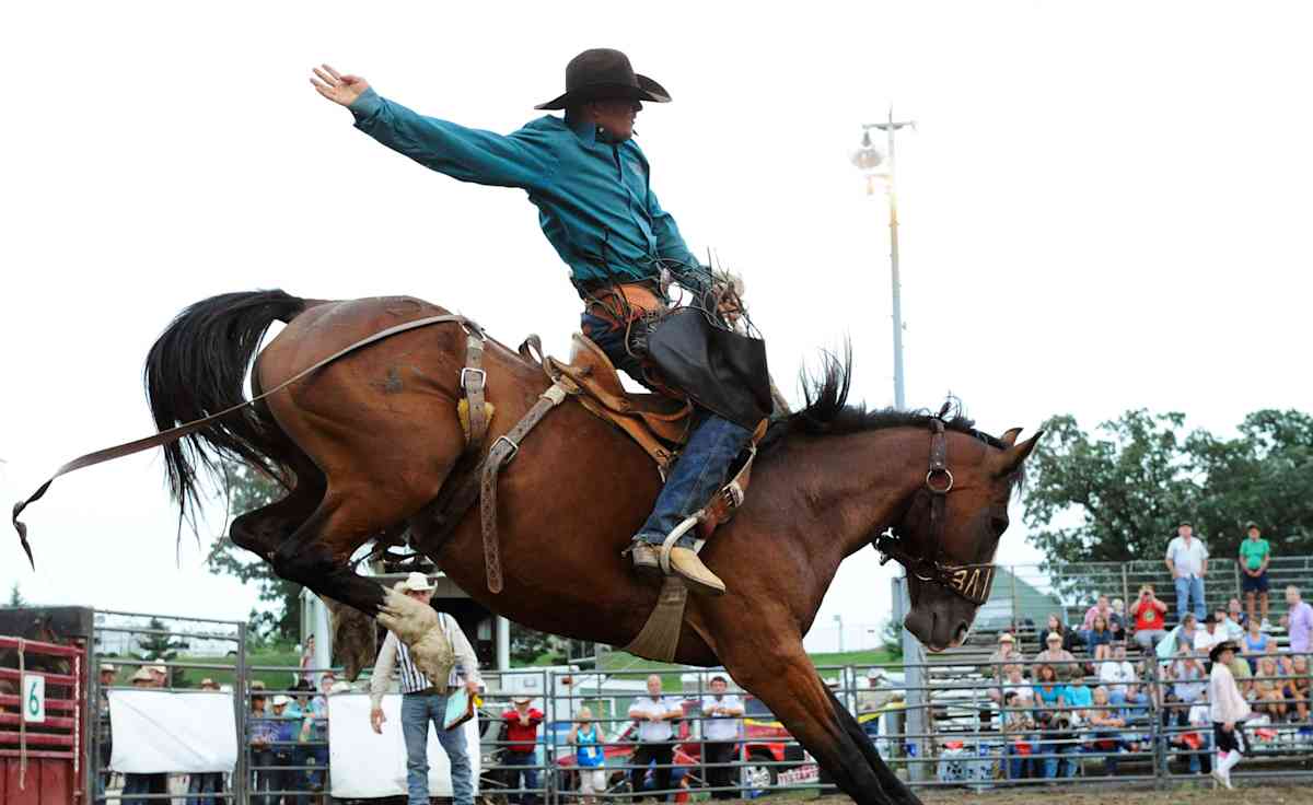 Hamel Rodeo Tickets - StubHub