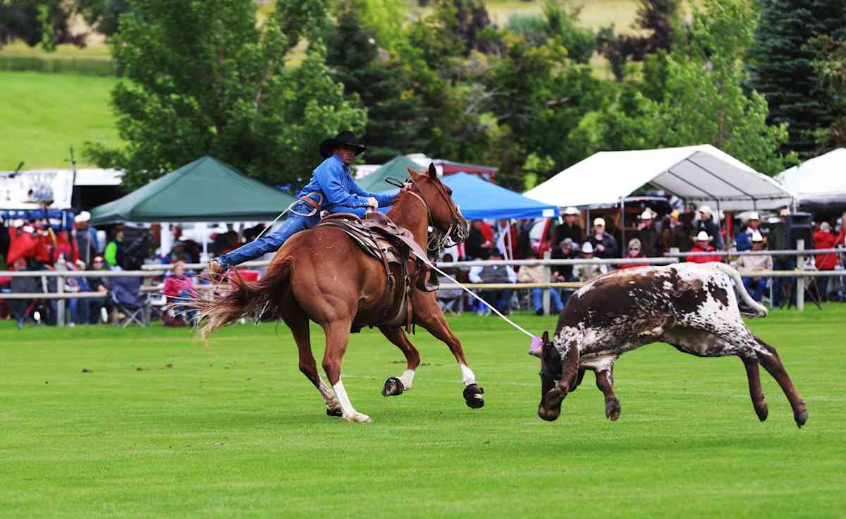 Sheridan WYO Rodeo Tickets - StubHub