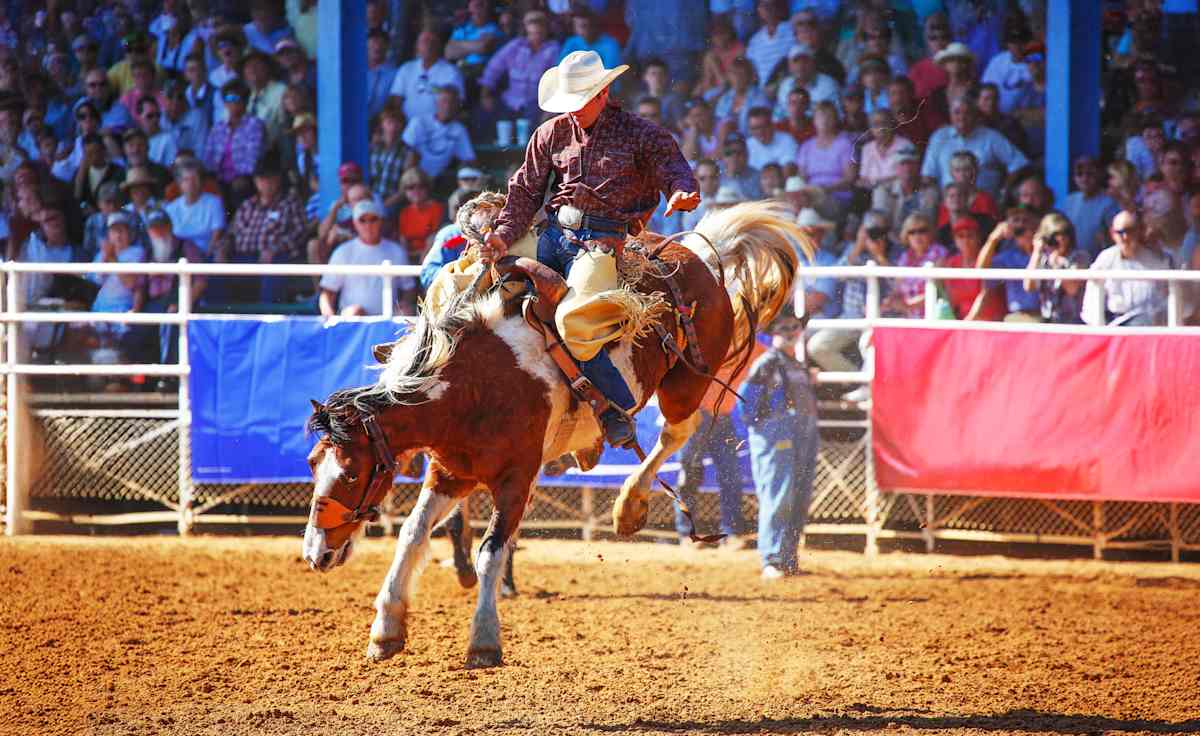 Arcadia All-Florida Championship Rodeo Tickets - StubHub