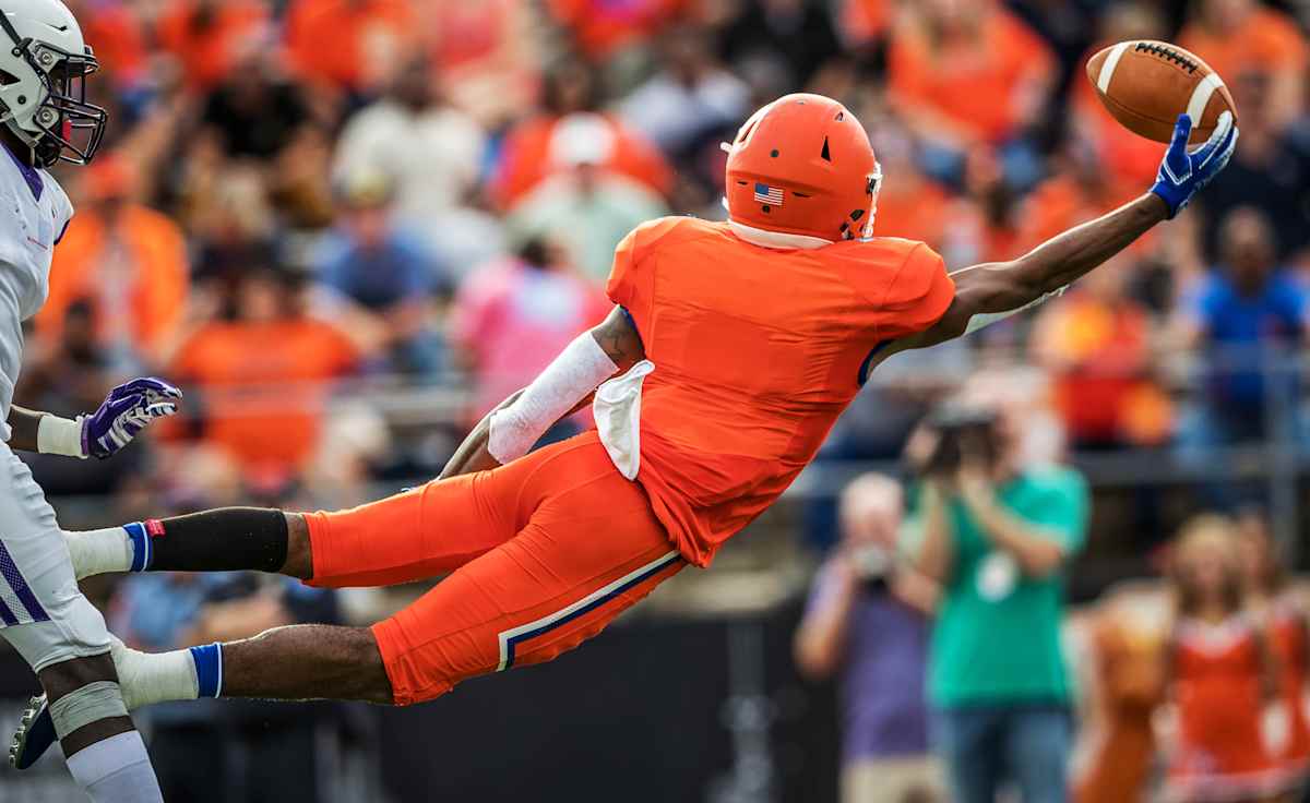 Sam Houston State Bearkats Football Tickets - StubHub