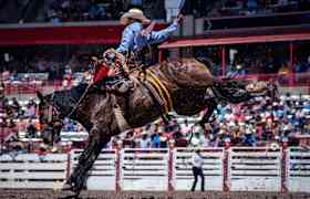 Cheyenne Frontier Days Rodeo Tickets - StubHub