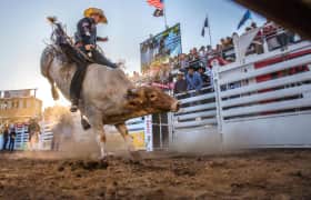 Sisters Rodeo Tickets - StubHub