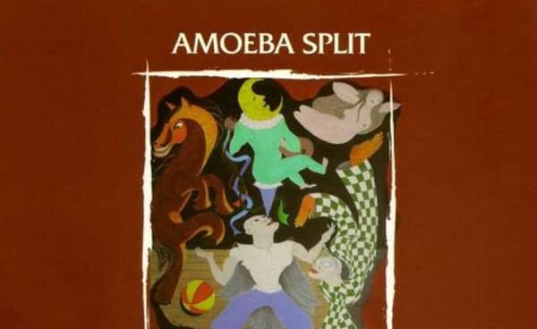 Amoeba Split Tickets