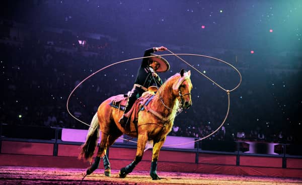 National Finals Rodeo Tickets - StubHub