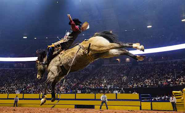 National Finals Rodeo Tickets - StubHub