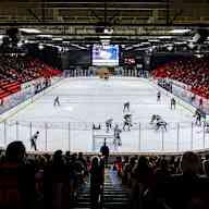 brandon swift current