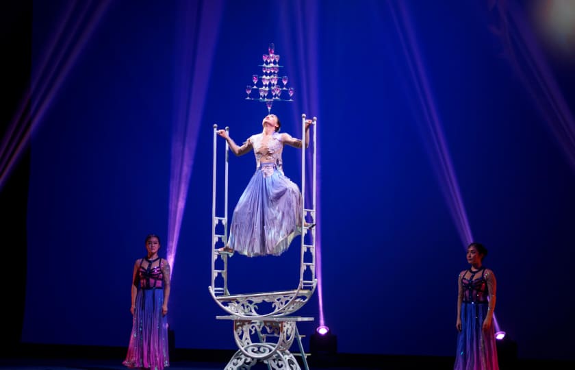 Chinese Acrobat Team Tickets - StubHub