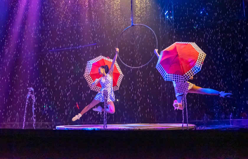 Cirque Italia Tickets - StubHub