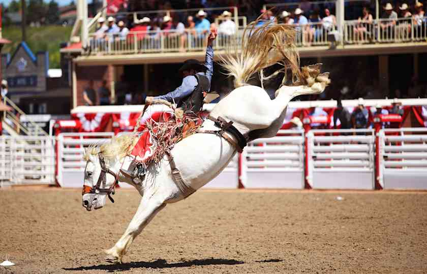 Calgary Stampede Rodeo Tickets - StubHub