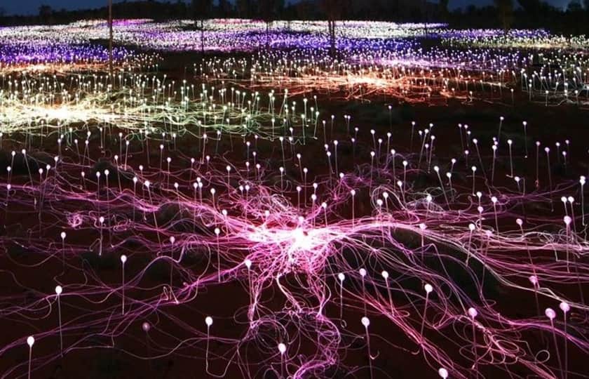 Bruce Munro Tickets - Bruce Munro Concert Tickets and Tour Dates - StubHub
