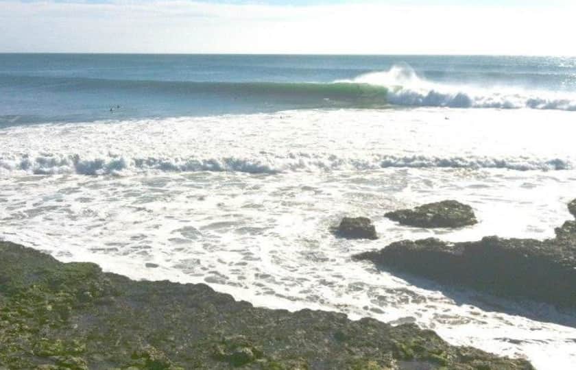 The Mermen Tickets - The Mermen Concert Tickets and Tour Dates - StubHub