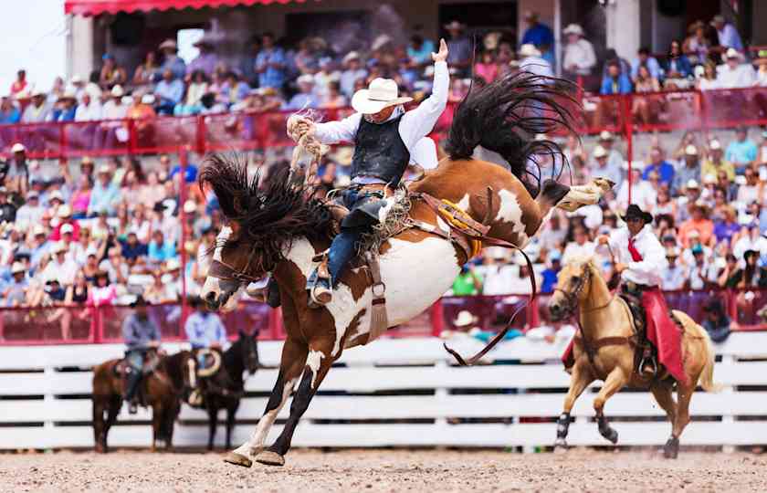 Central Wyoming Rodeo Tickets - StubHub