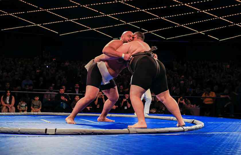 World Championship Sumo Tickets - StubHub