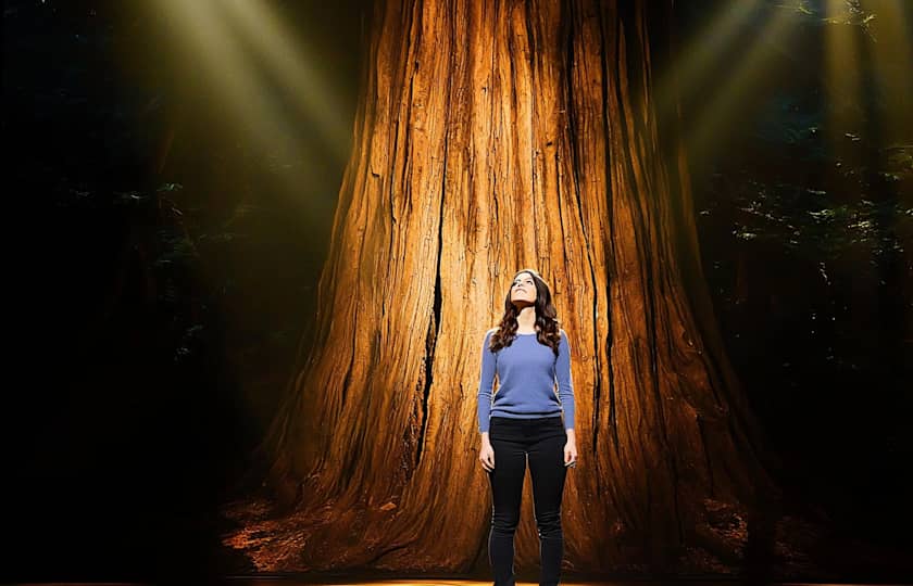 Redwood the Musical Tickets - StubHub