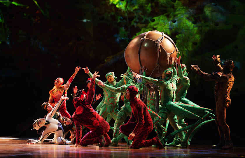 Cirque du Soleil - OVO Tickets - StubHub