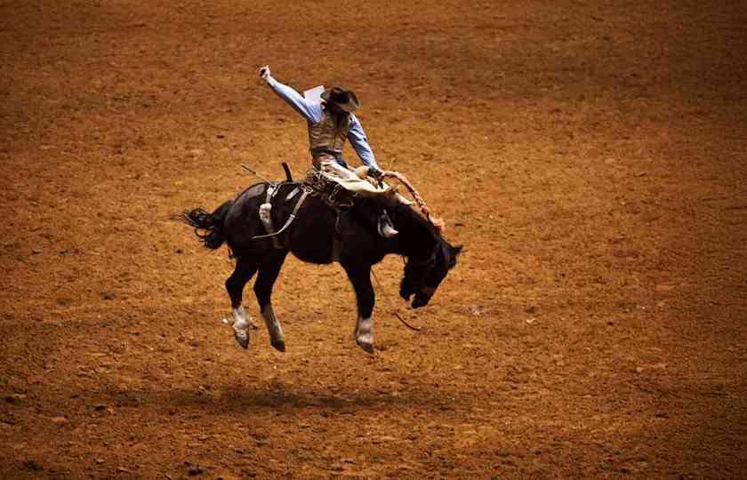 Fort Worth Stock Show and Rodeo Tickets - StubHub