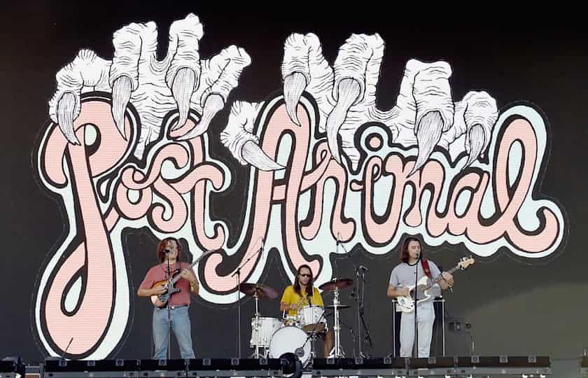 Post Animal Tickets
