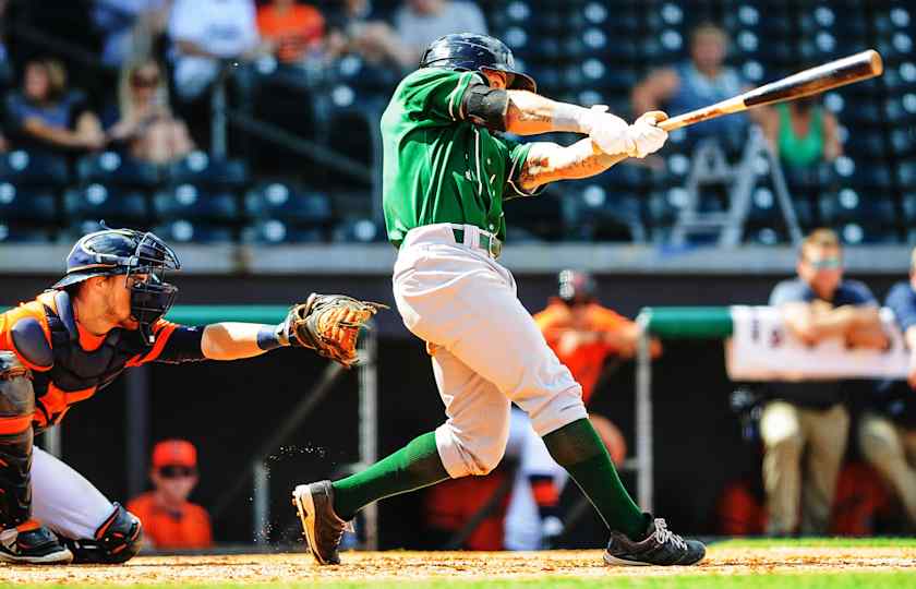 Great Lakes Loons Tickets - StubHub