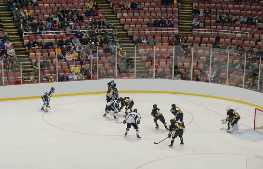 Michigan State Spartans Men's Hockey Tickets - StubHub