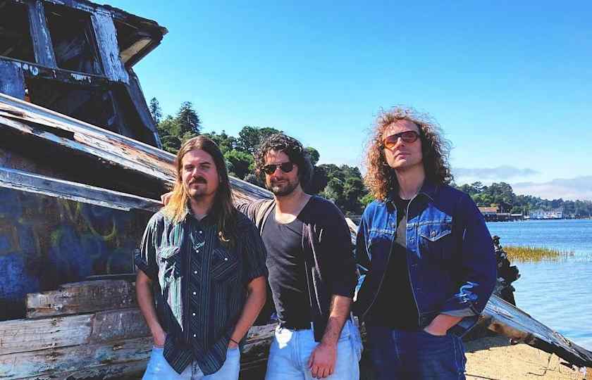 Triptides Tickets