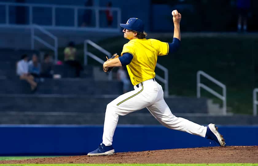 Michigan Wolverines Baseball Tickets - StubHub