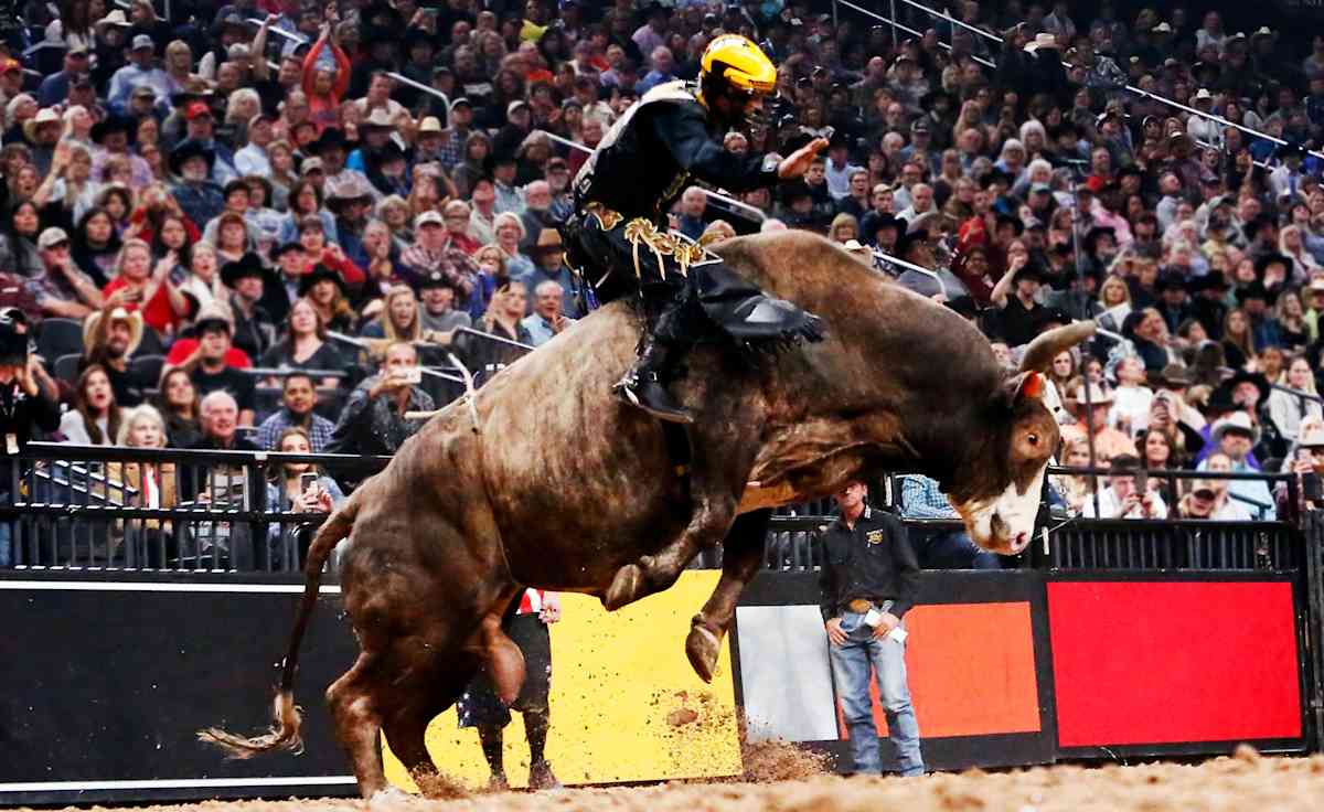 PBR Team Series Tickets | Buy or Sell Tickets for PBR Team Series - viagogo