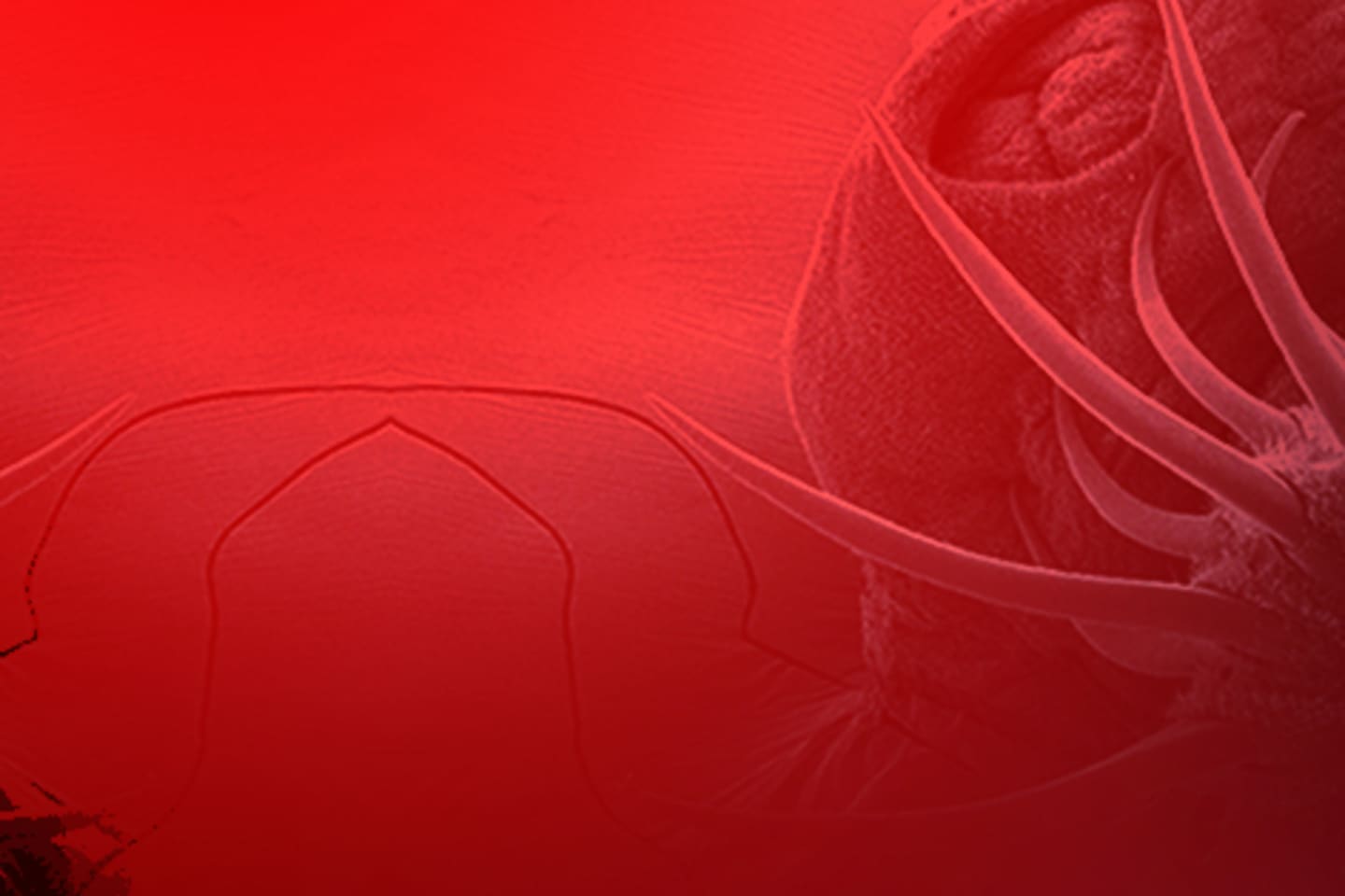 Billets NEJ | Places de Concert NEJ - viagogo