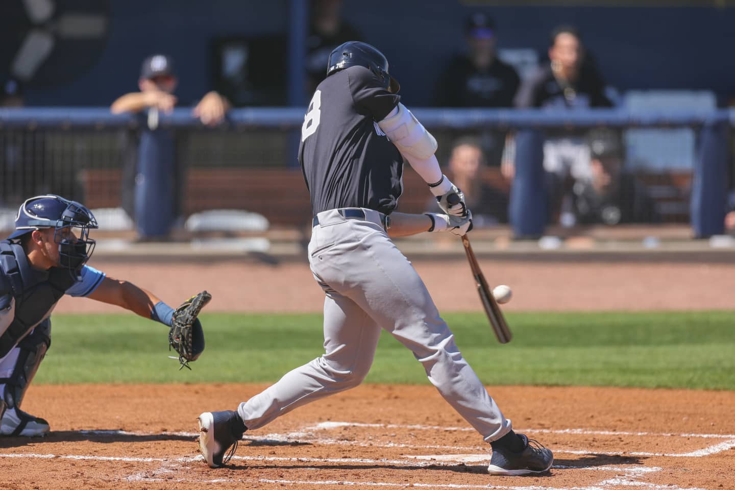 購買New York Yankees Spring Training 門票- viagogo