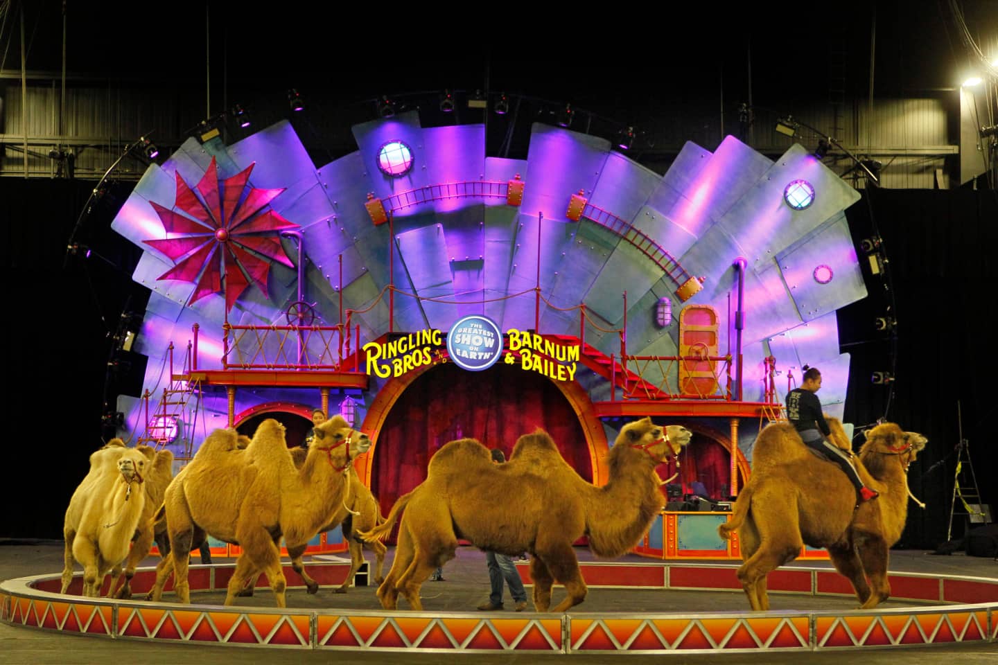 Billets Ringling Bros and Barnum and Bailey Circus - Achetez vos ...