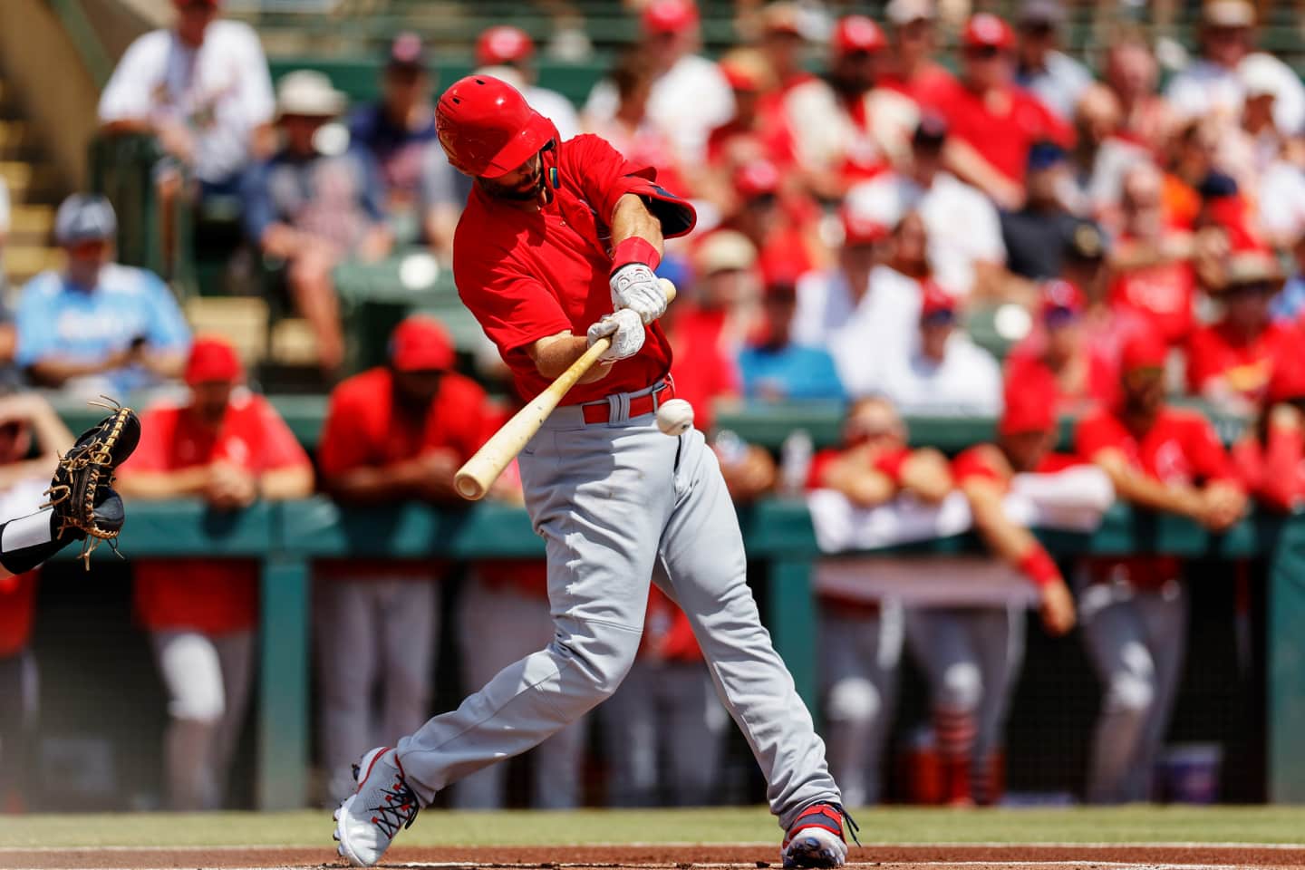 Comprar boletas para St. Louis Cardinals Spring Training - viagogo