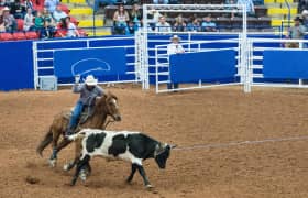 2025 Rodeo Austin - ProRodeo & Dashboard Confessional - Wednesday ...