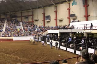 San Angelo Stock Show & Rodeo Foster Communications Coliseum San Angelo ...